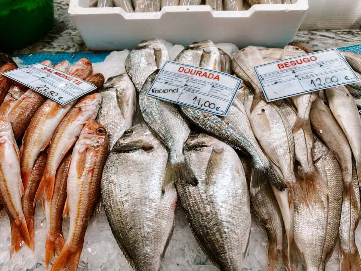 25 Beautiful and best things to do in Setúbal Portugal